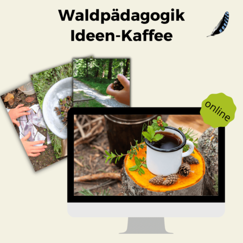 4 einfache Waldbaden-Übungen für deinen Spaziergang | Wald von Ameise ...