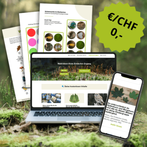 33 Ideen für Waldführungen: Die vielfältige Praxis-Liste für ...